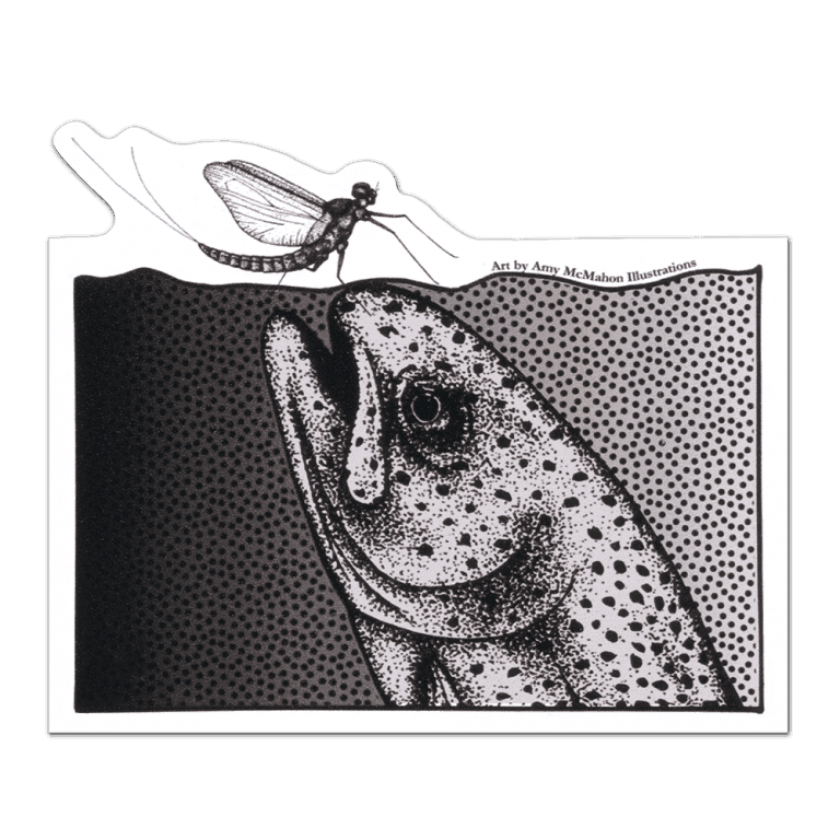Nate Karnes Pig Brown Trout Sticker - Fly Slaps Fly Fishing Stickers ...