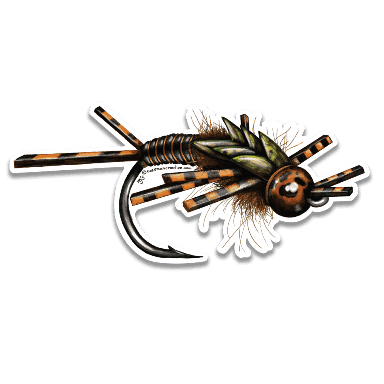Bozeman Creative Stonefly Nymph Sketch Sticker - Fly Slaps Fly Fishing ...