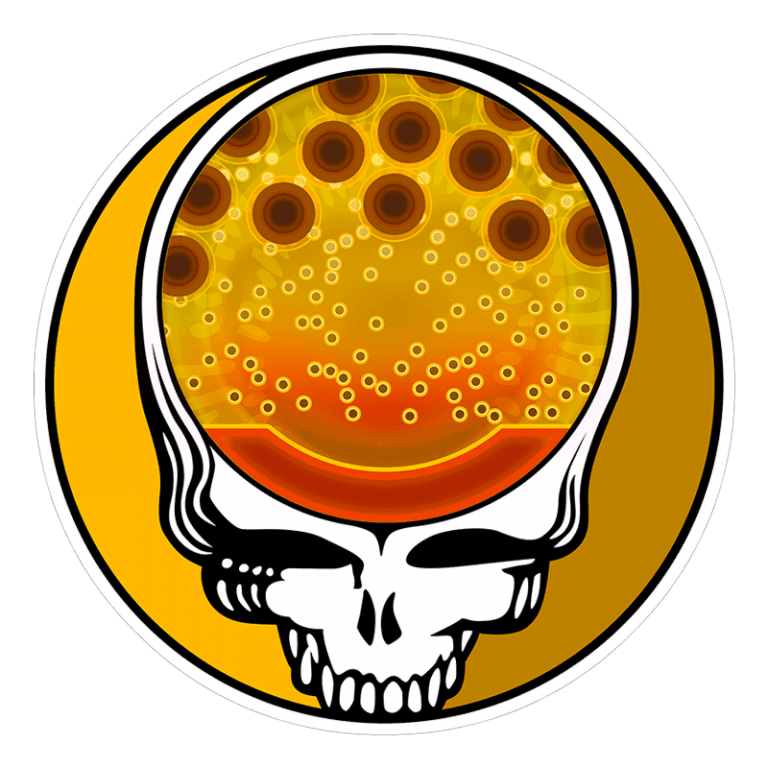 DrewLR Bad Larry Sticker - Fly Slaps Fly Fishing Stickers and Decals