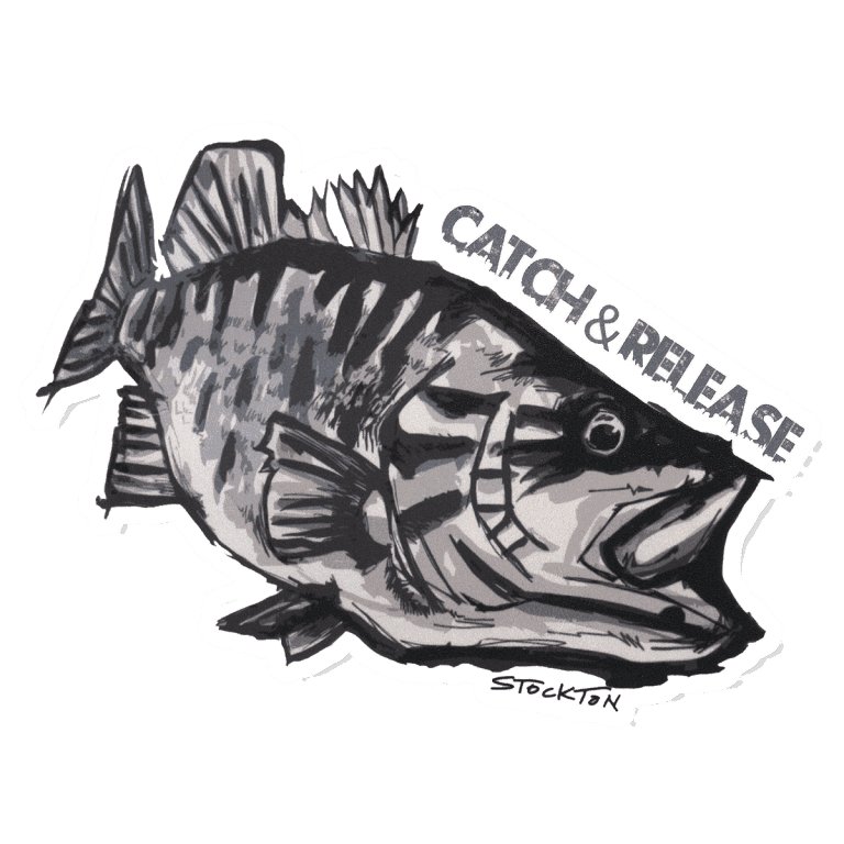 Matthew Stockton Smallmouth Bass Sticker - Fly Slaps Fly Fishing ...